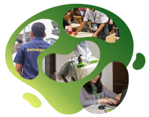 About Us - Job Clean is a pervasive and sanitation maintenance of ...